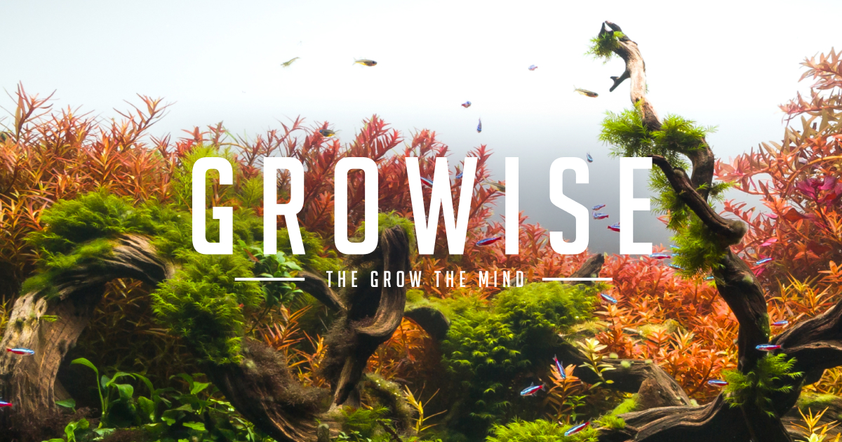 Growise - Akwaria roślinne